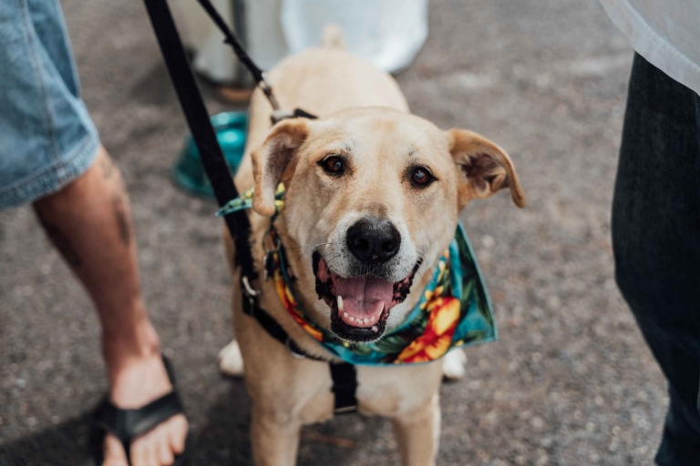 Today | Frontier RTP